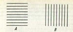 Optical illusions: Vertical and horizontal lines – MYSTERIES OF STYLE